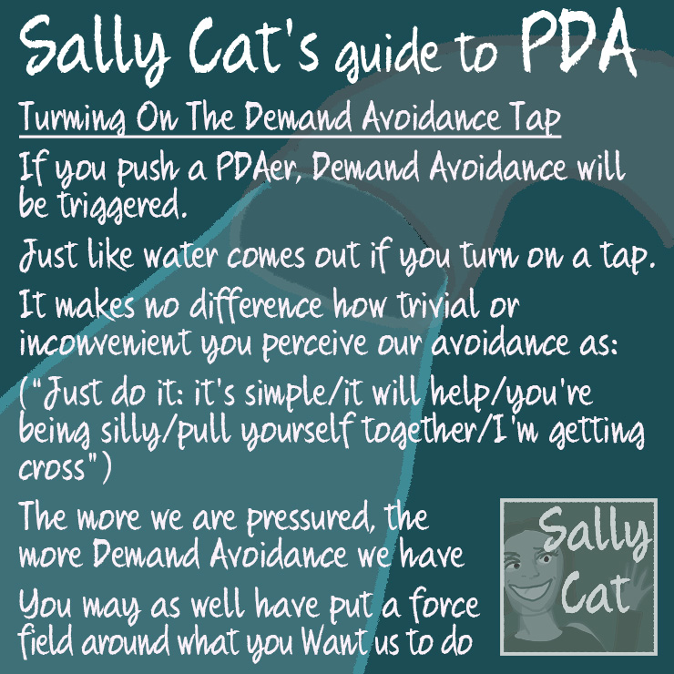 Sally Cat PDA: Memes About Demand Avoidance