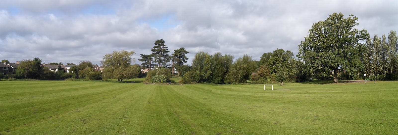 Wapley Bushes Local Nature Reserve: Spoilt for choice of work mornings ...