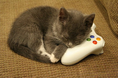 La ciudad de los gatos: Gamer cats