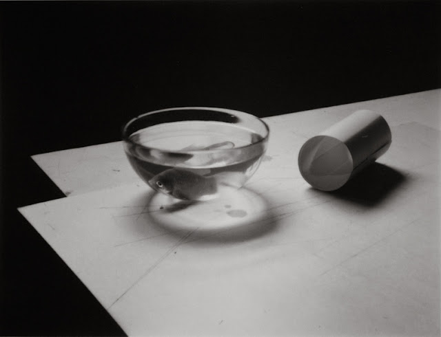 Los Grandes Fotografos: Andrea Modica (1960)