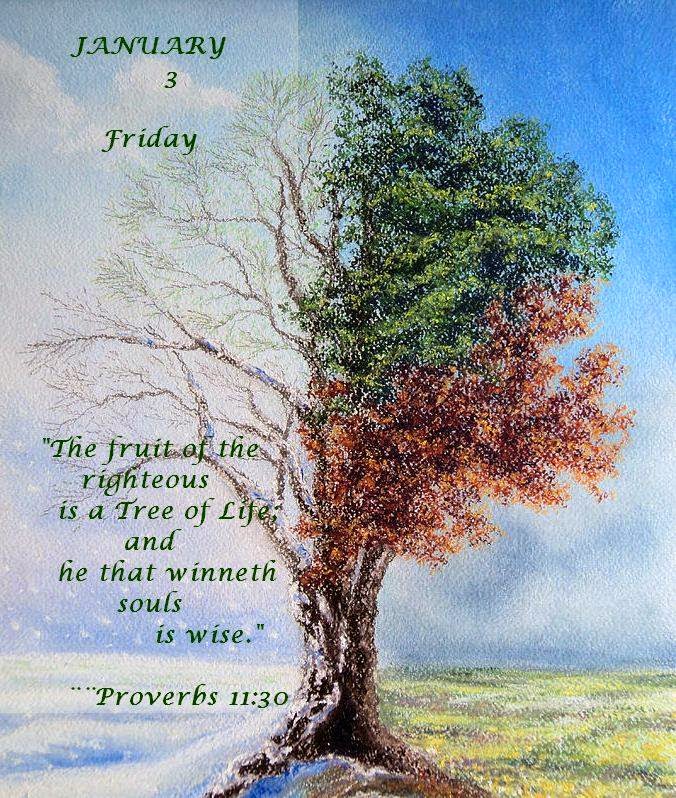 Keep the Faith, God will provide.: January Bible Verses