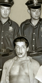 Anthony Spero Bred Pigeons and Gangsters