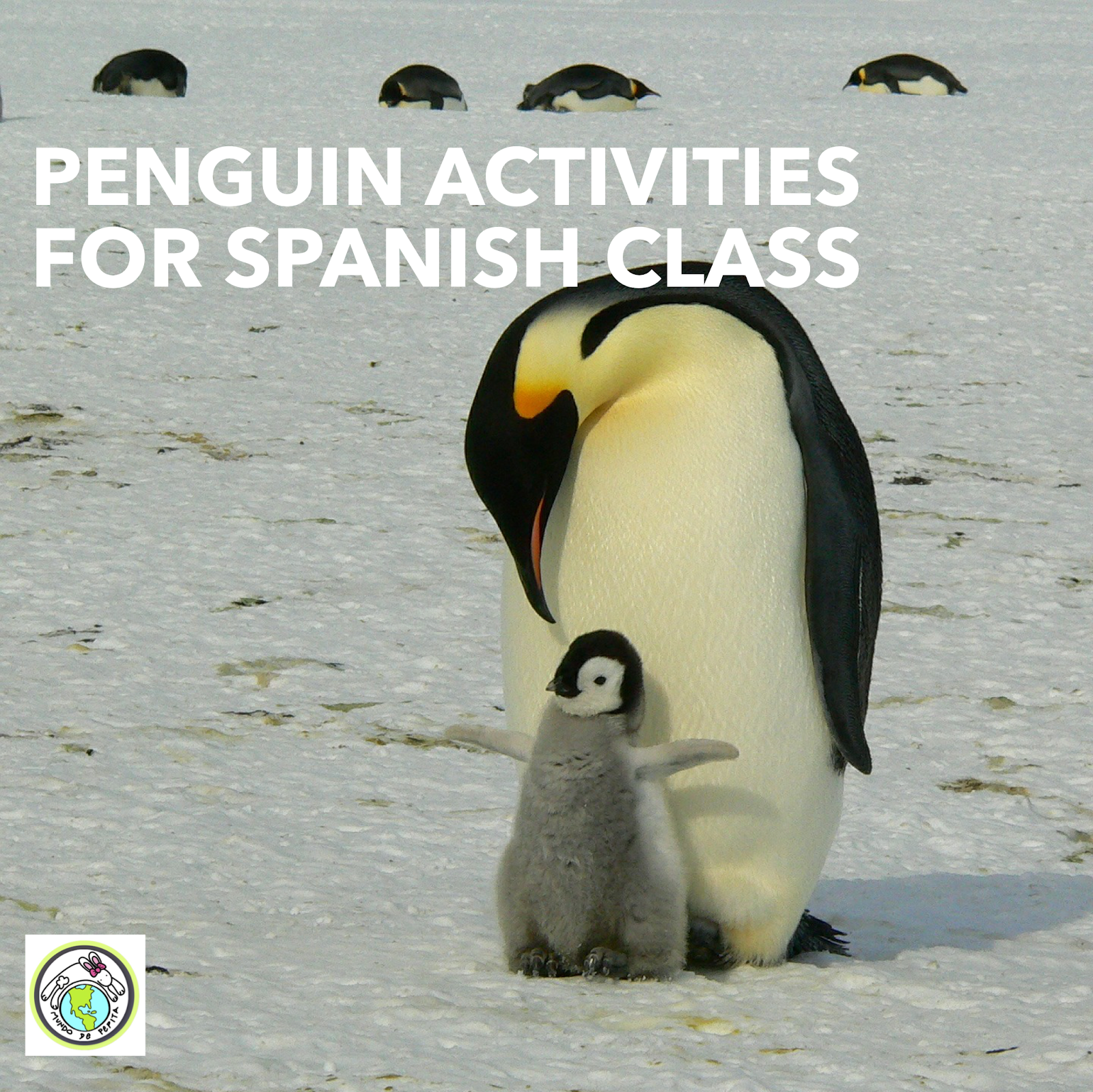 Penguin Activities for FLES Elementary Spanish for Kids | Learning ...