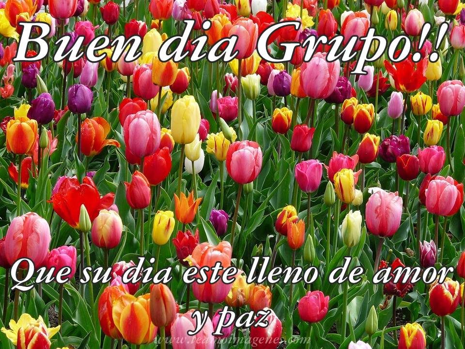 8 imágenes con frases de Buen Dia GRUPO - Imágenes de Amor, Gatitos ...