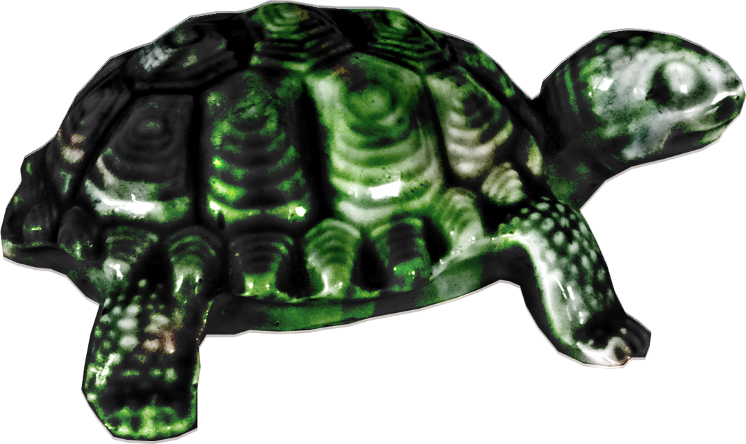 Las letras de la tortuga.: Las letras de la tortuga... Se estrena el 14 ...