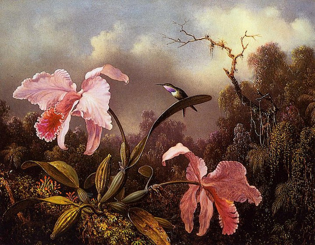 Maher Art Gallery: Martin Johnson Heade 1819-1904