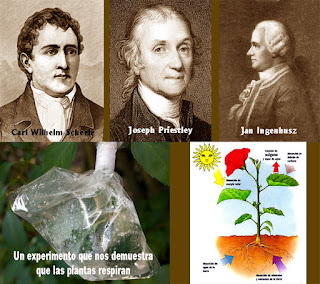 La fotosíntesis: Historia de la fotosíntesis