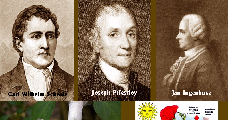 La fotosíntesis: Historia de la fotosíntesis