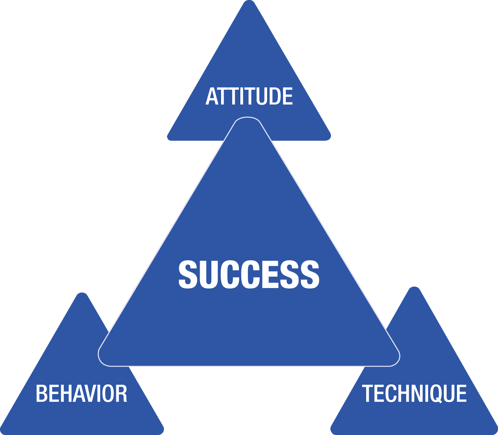 Ayesha's Innovations: Succeed To Be Successful