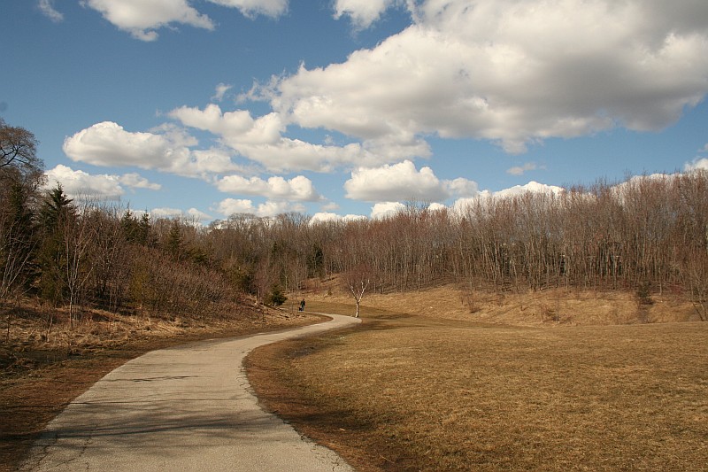 Mishy's Corner of the World: Cedarvale Park