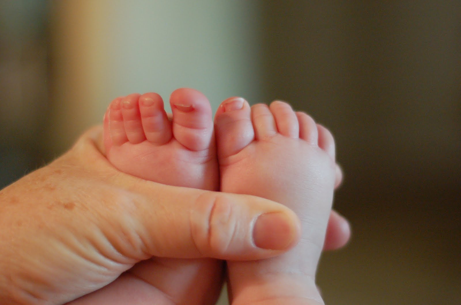 Life to LIFE: August 2011