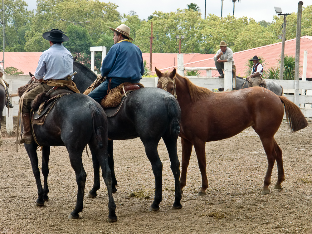 Committed Stitcher: Rodeo Horses