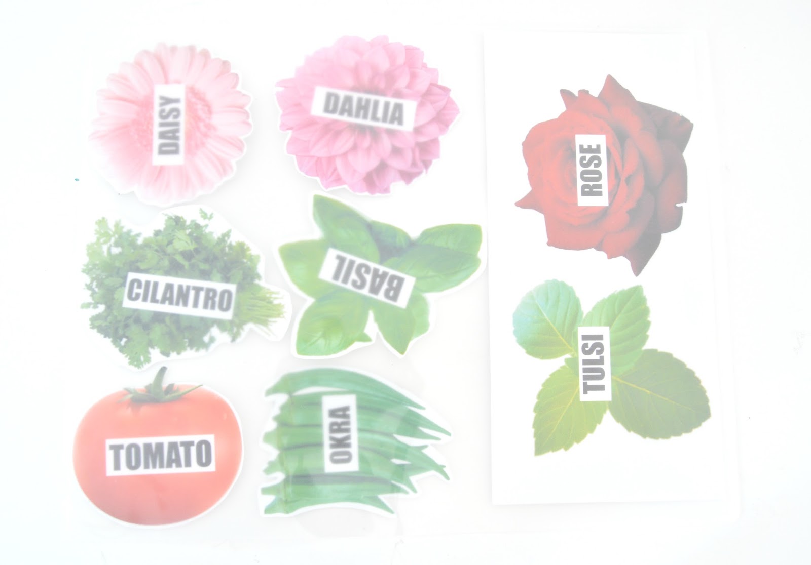 Vikalpah: DIY Plant Markers