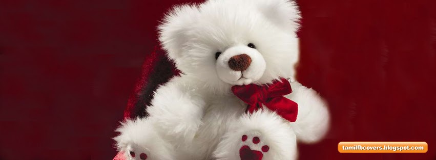Cute Teddy Bear Wallpapers For Facebook Cover Photo