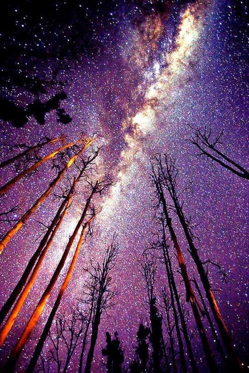 Beautiful Milky way ~ Stunning nature