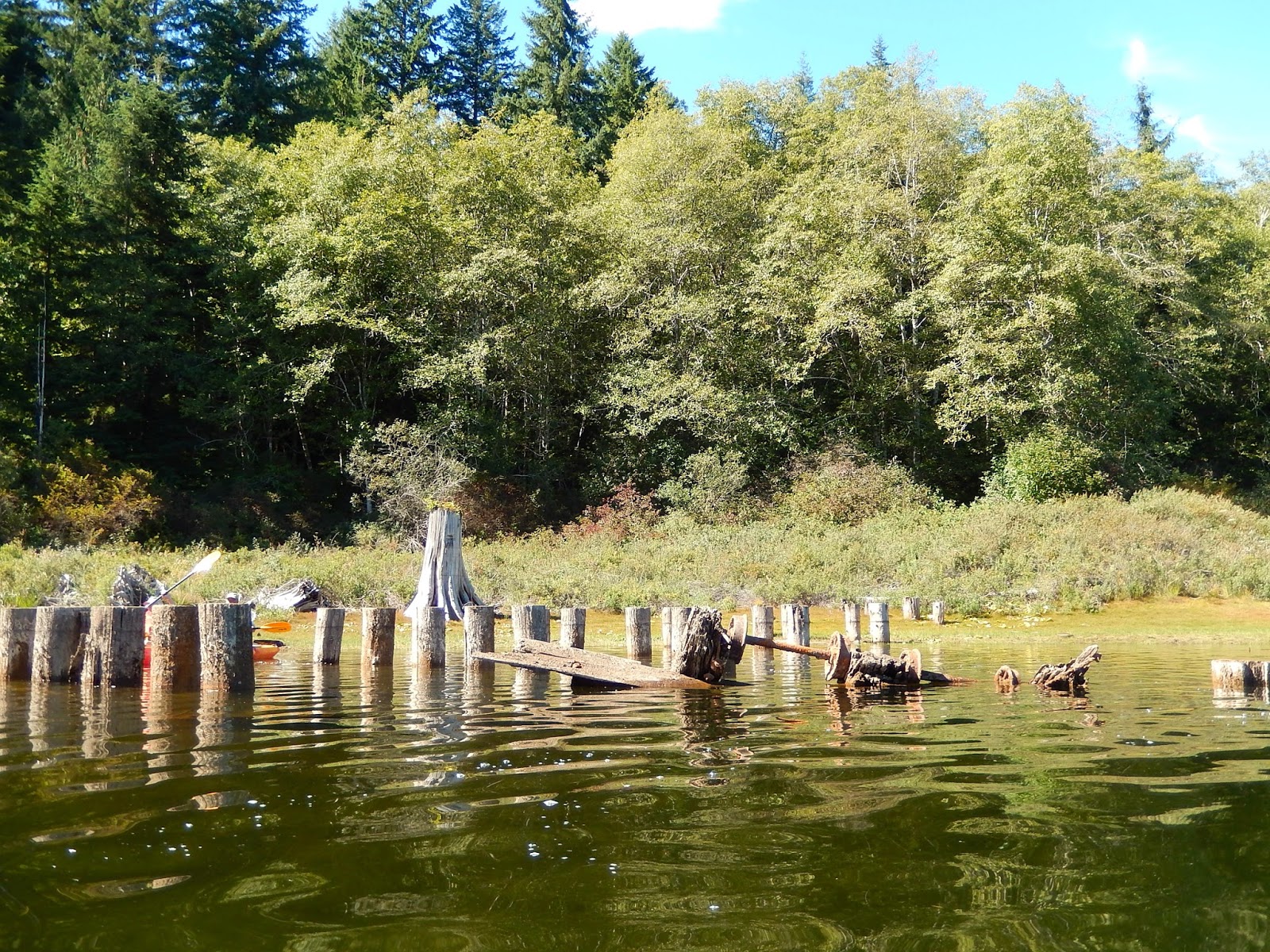 Powell River Books Blog: Railroad Logging Trestle on Nanton Lake, BC