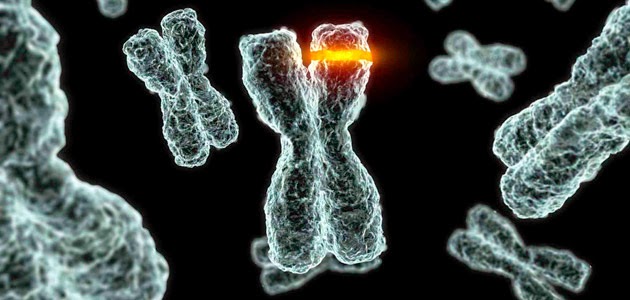 MUERTE SÚBITA HEREDITARIA: DESCUBRE EL GEN MUTADO QUE LA PROVOCA