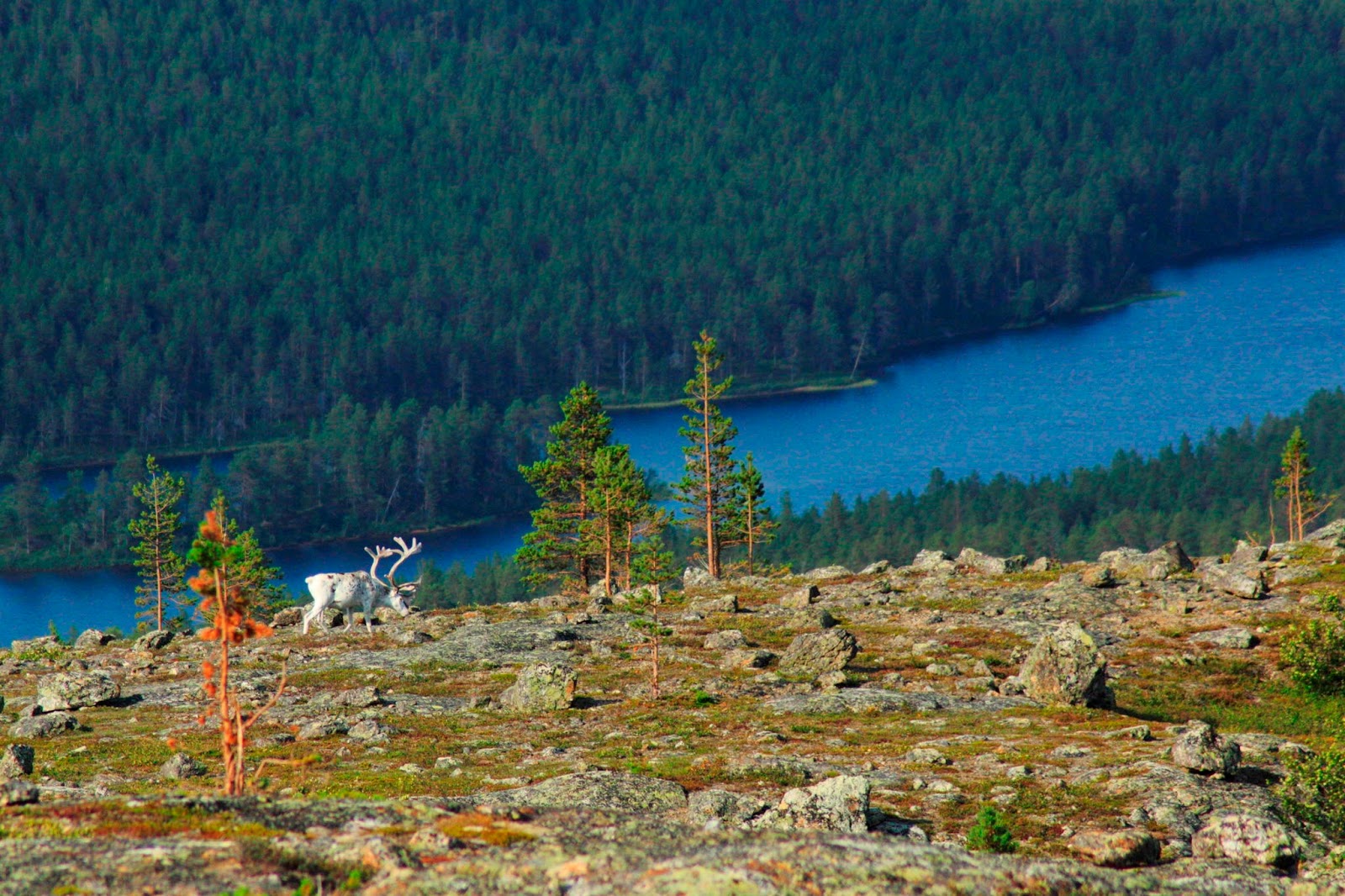 November 2015 ~ F I N S K A