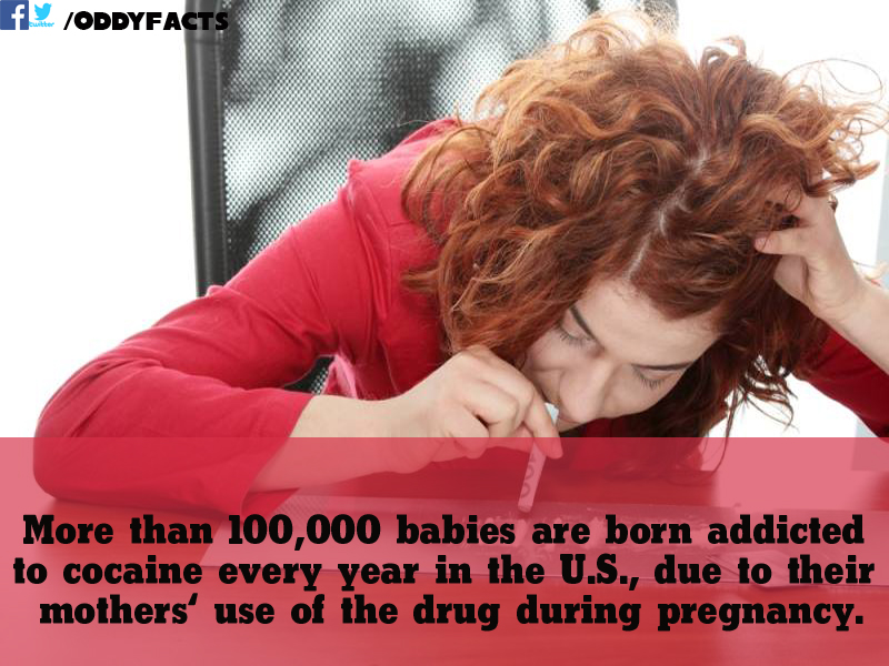 Oddy Facts: 11 random facts about pregnancy