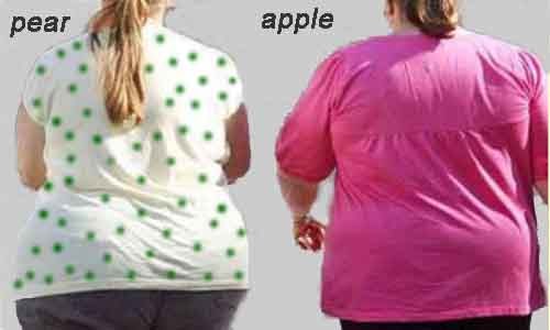 Obesity Facts: Apple and pear shape obesity: Which is better?