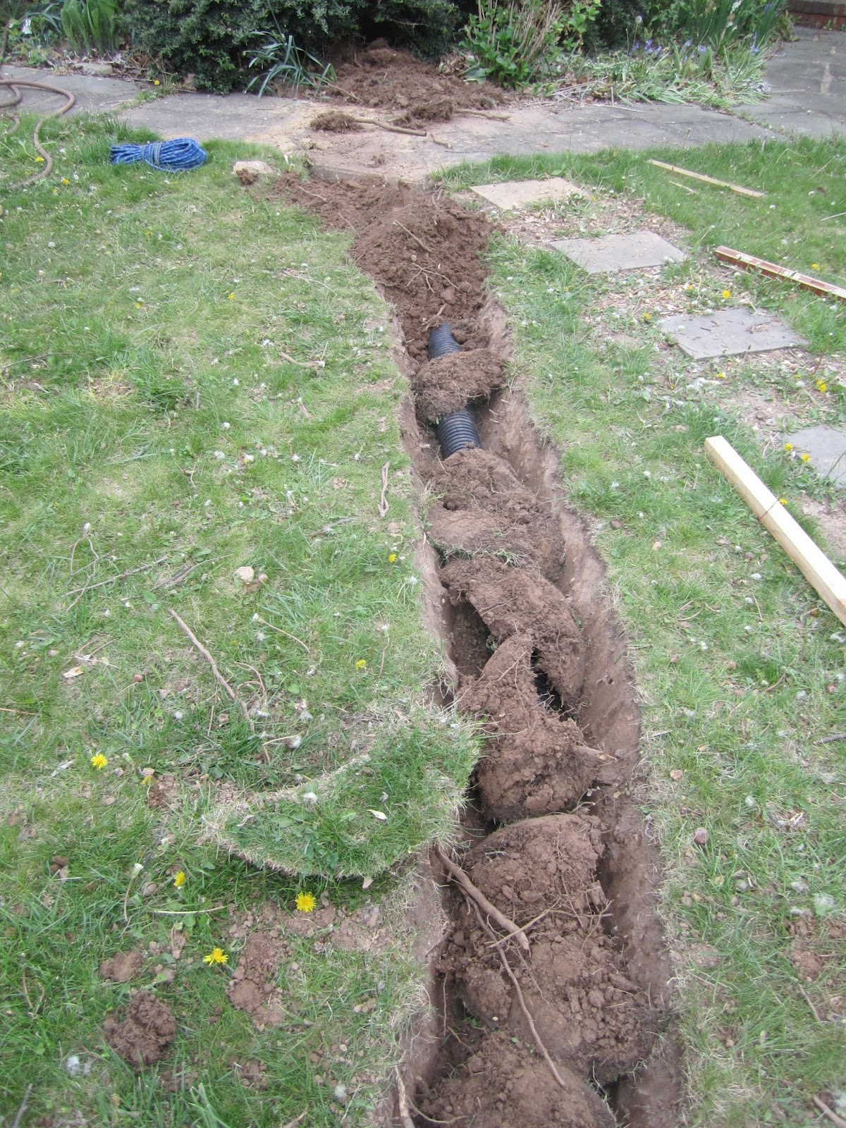 Princeton Nature Notes: Frontyard Raingarden