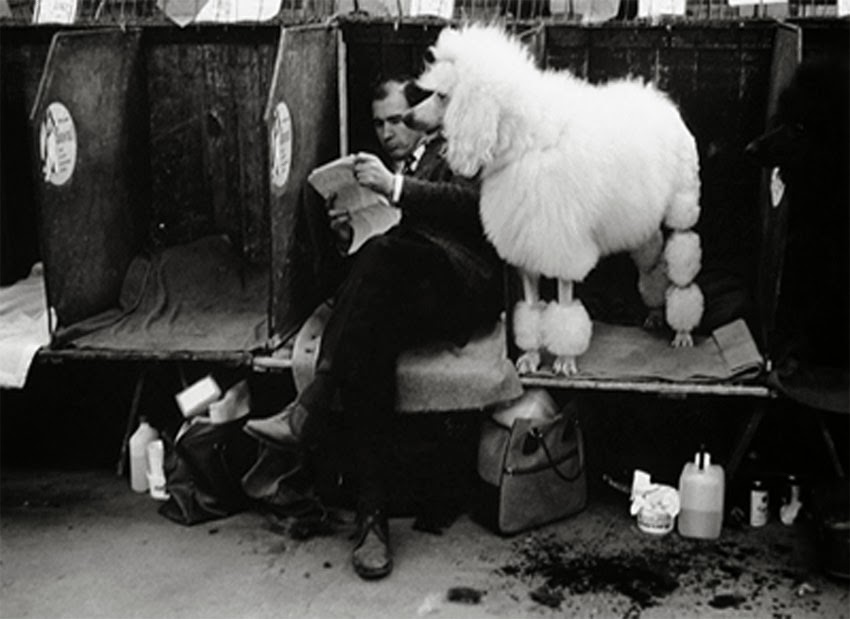 victoria spofforth photography: Only In England