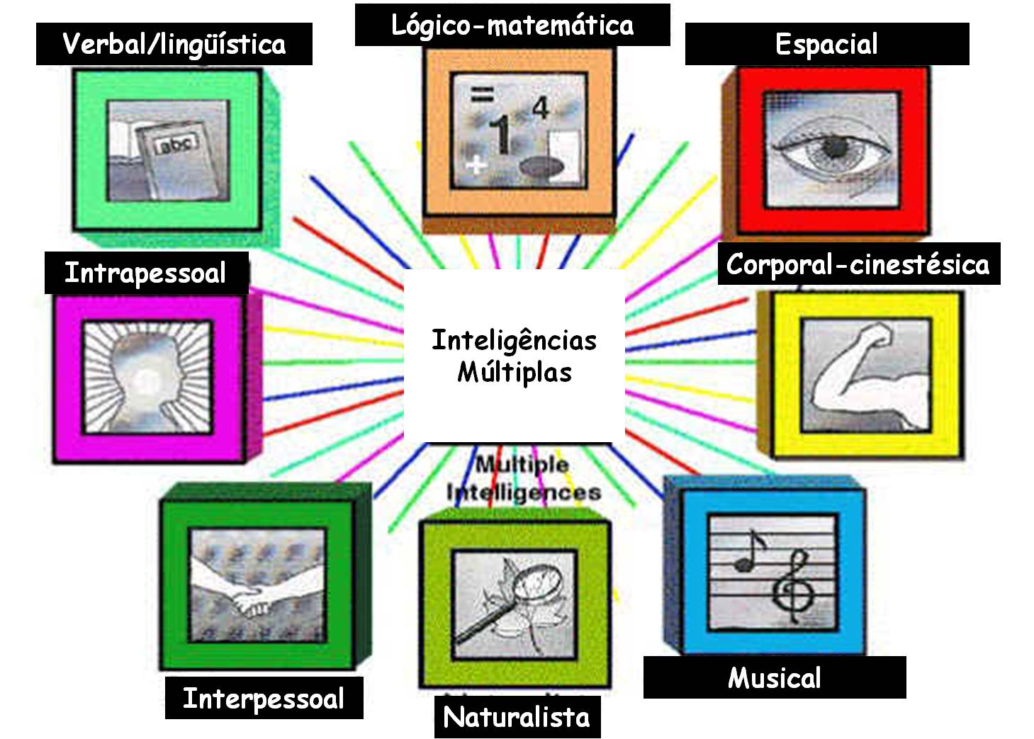 Inteligências Múltiplas: Conhecendo as Inteligências Múltiplas