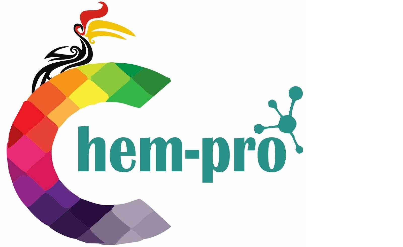 Introducing Chem-pro