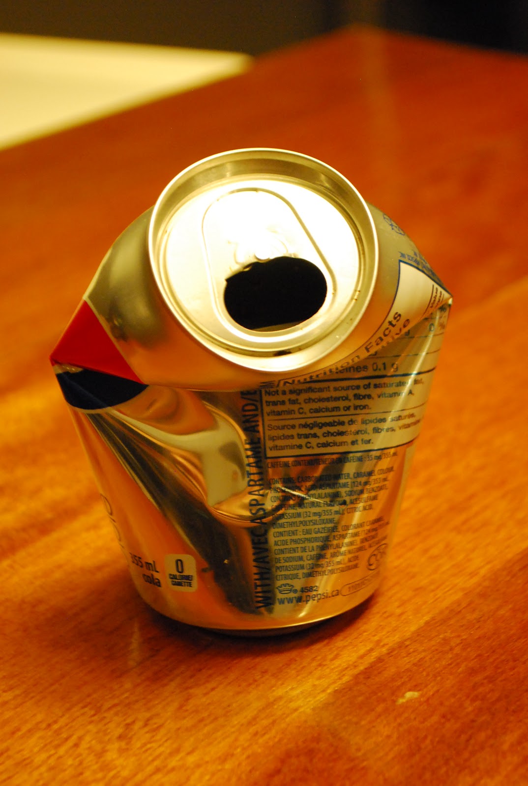 Pop Can Caroler Craft