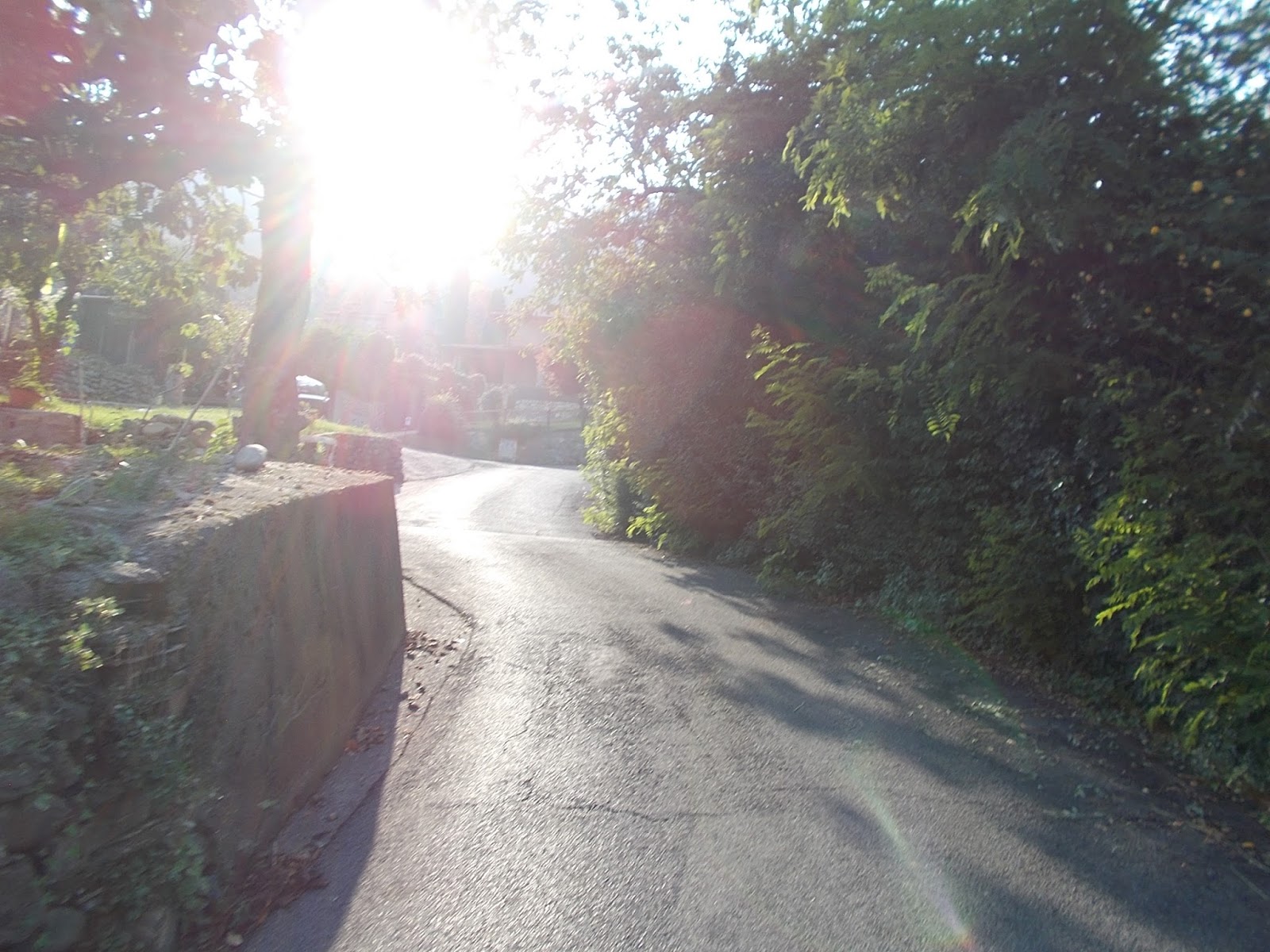 VIVENDO SALENDO: CARATTERISTICHE TECNICHE DELLA SALITA ALLA TENUTA "LA ...