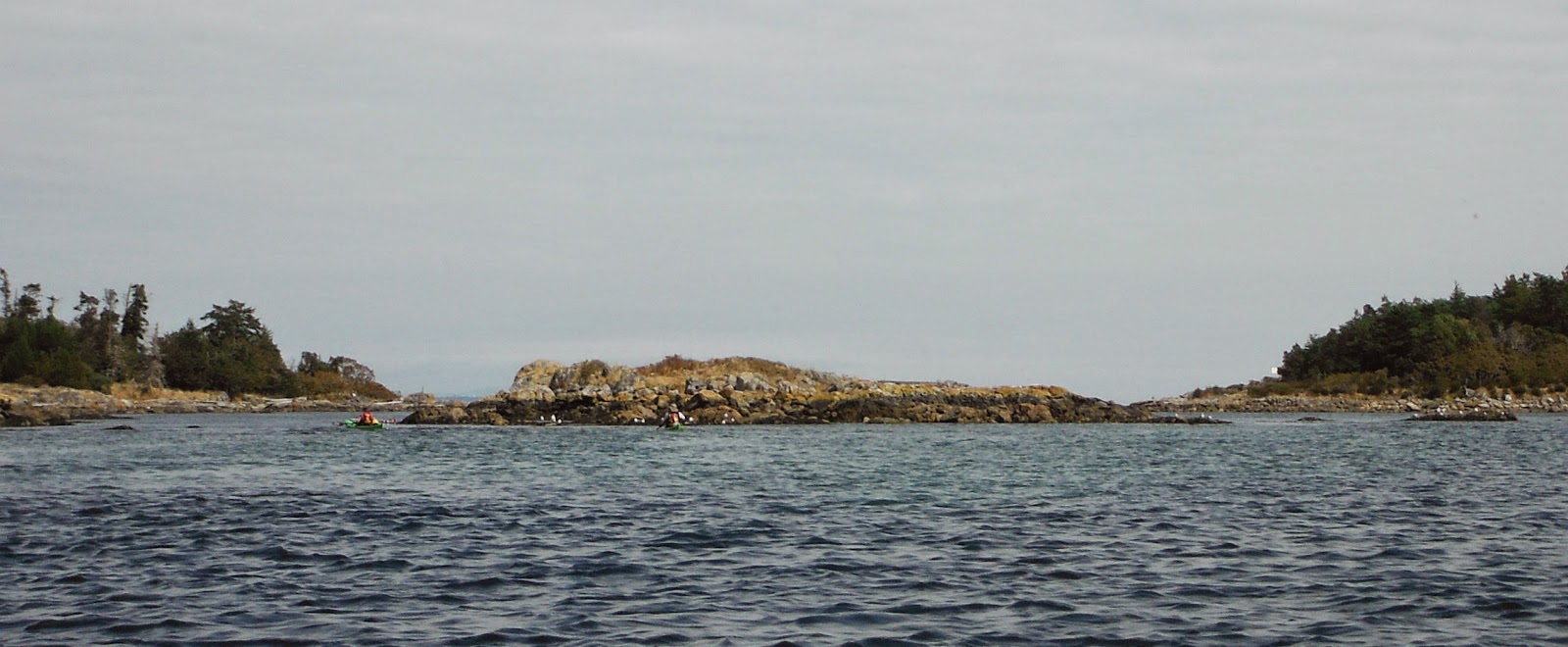 Gecko Paddler: Bentinck Island Playtime