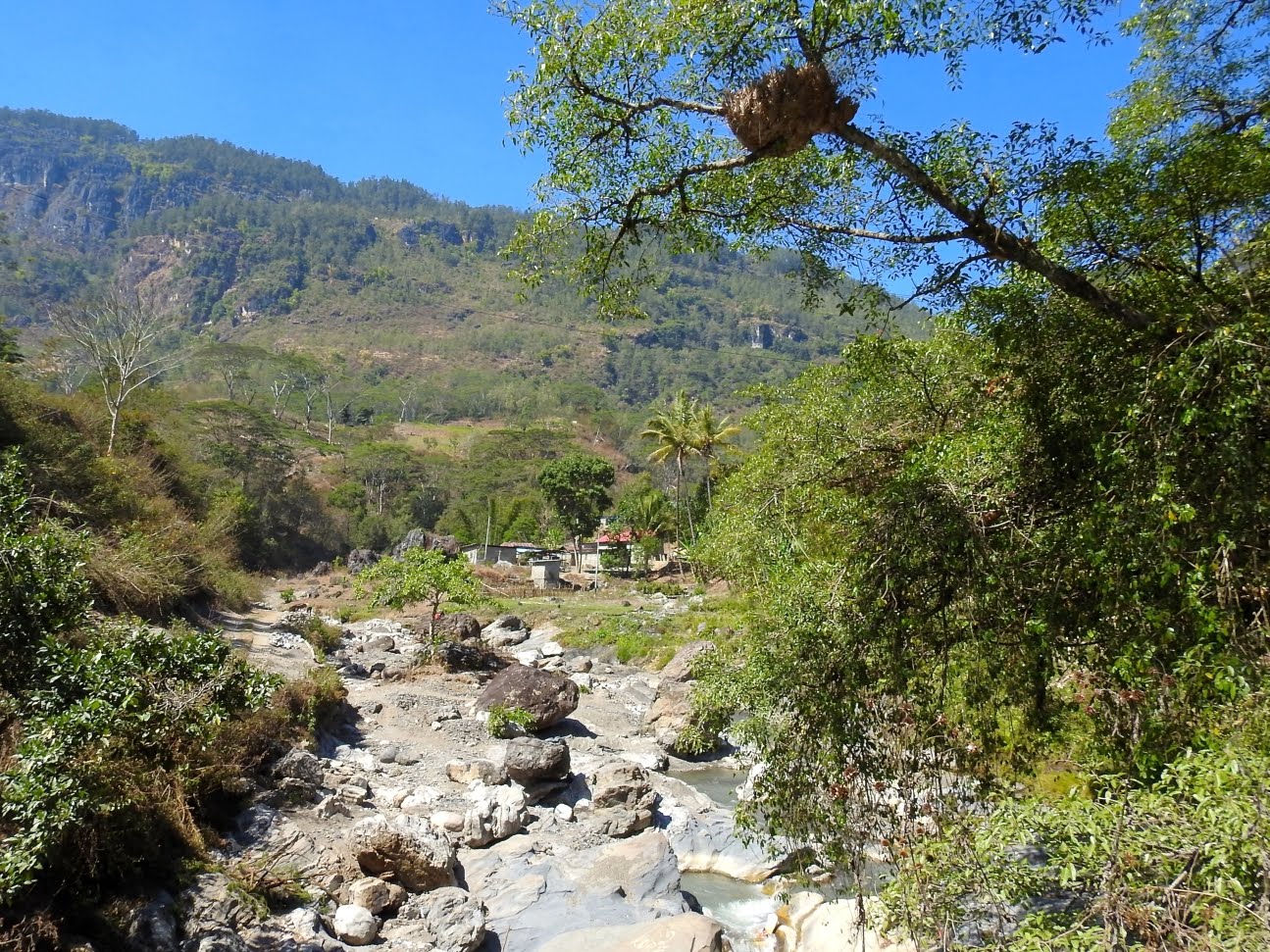 TRAVEL WITH US: TIMOR LESTE - TIMOR LOROSAE - EAST TIMOR