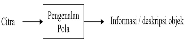 Pengertian Pengenalan Pola