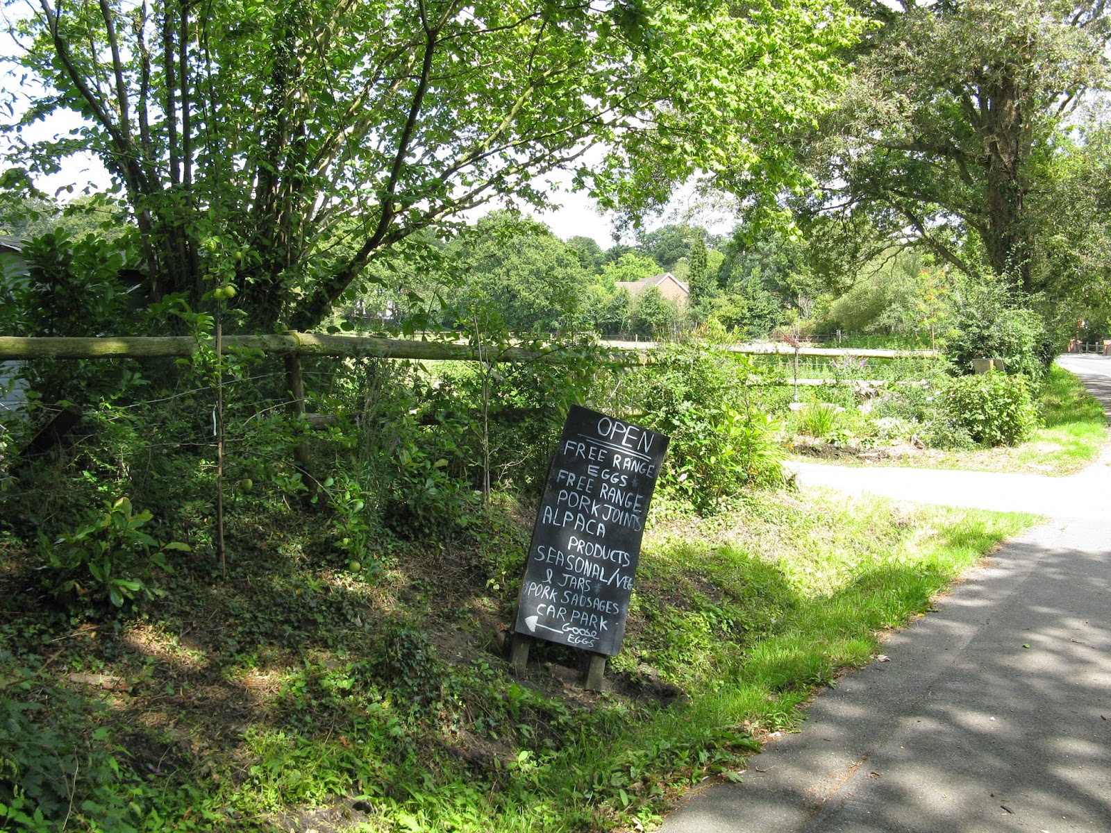 Place Memes: PARISH 12: Great Wood and MOD via Longcross and Chobham Common