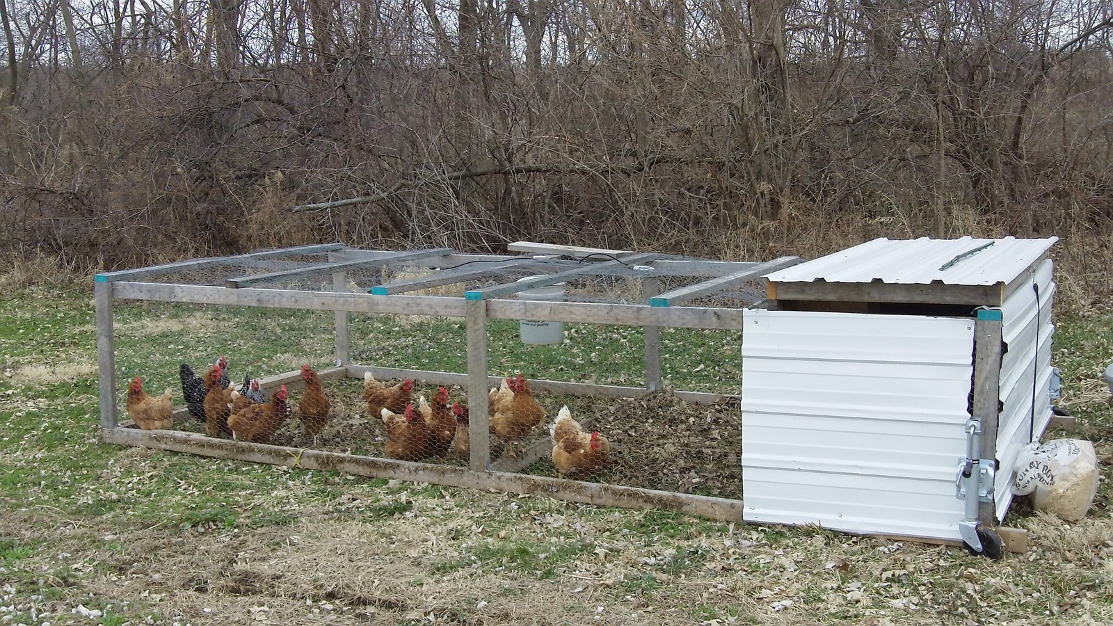 Bountiful Harvest Farm: Chicken Runs Finished