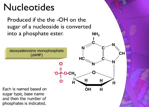 bioquimica-textose links: PROTEINAS