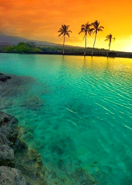 Amazing nature ~ Stunning nature