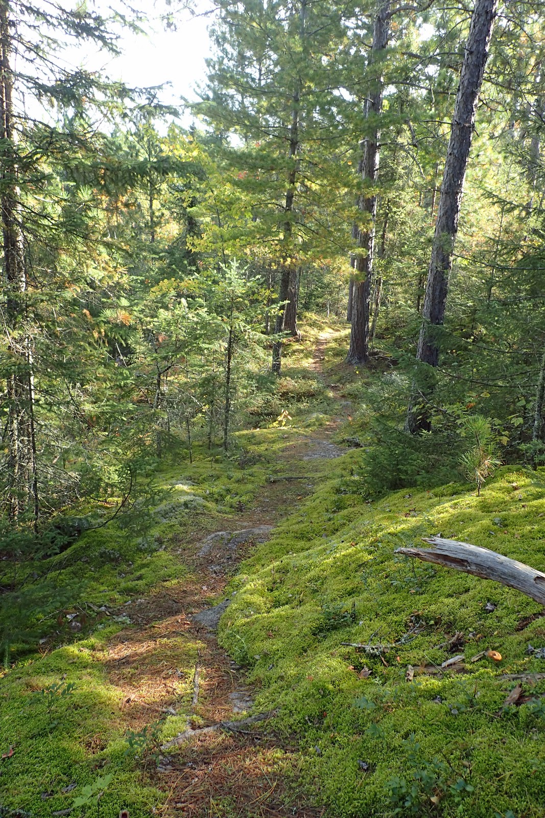 The Continuing Adventures of Eric, Noelle and Sierra: Voyageurs ...