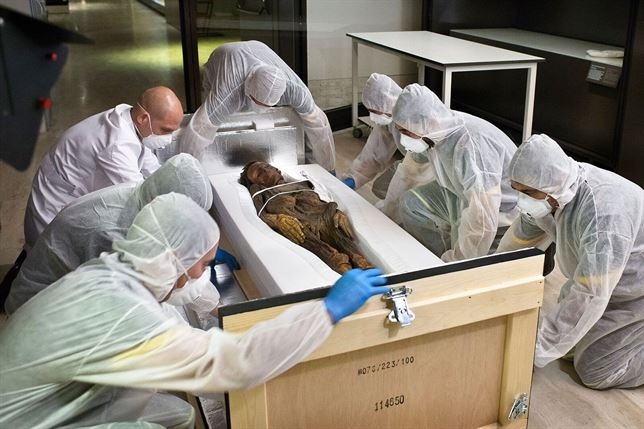 La Bitácora de Jenri: Analizan con técnicas de radiología cuatro momias ...