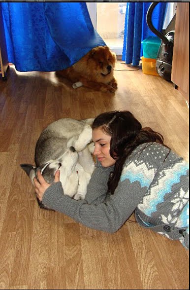 ROMEDICINE: Songshi-quan (the fluffy lion-dog)