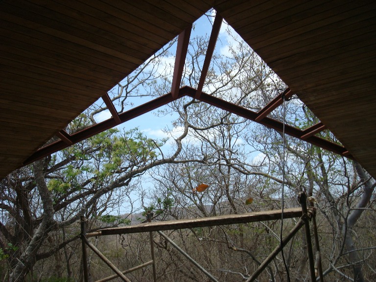 New Treehouse Roof: New Treehouse Roof
