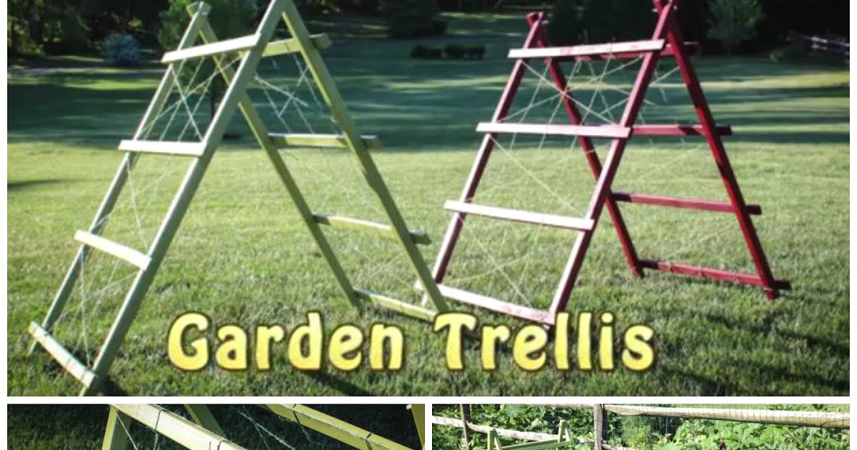 DIY Garden Trellis Free Plans And Tutorial | Handy & Homemade