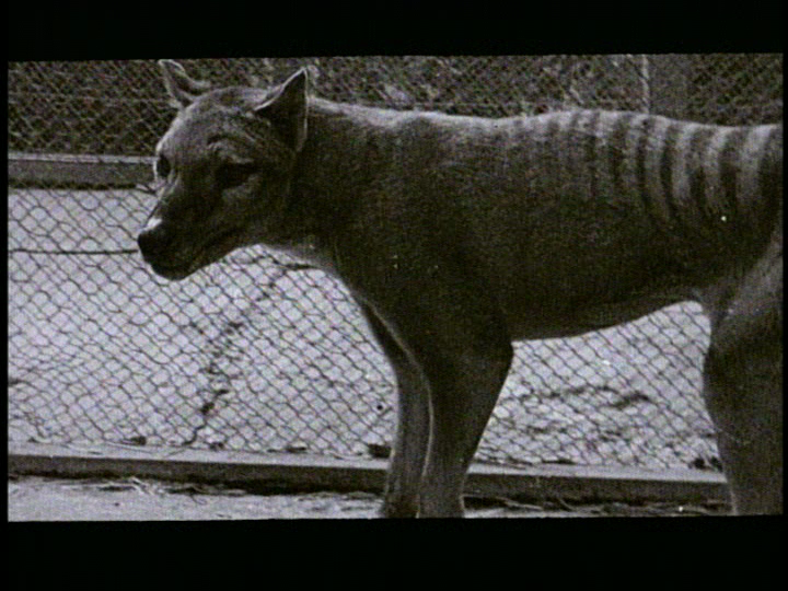 Life Between Frames: Worth Mentioning - Just When You Thought It Was ...