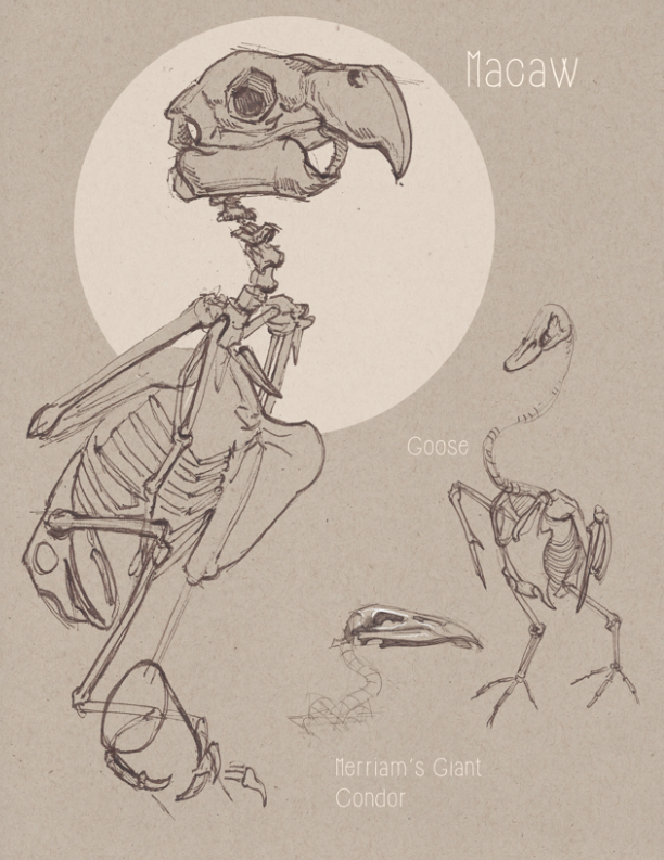 Warrior Spirit, Artist Heart: Dynamic Sketching with Peter Han