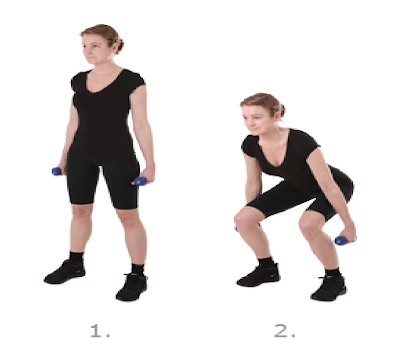 Step Exercises and Fitness: Legs Exercises : step 1 : Beginner squat
