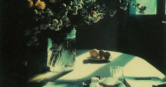 My ️ will go on: Slavoj Zizek: The Thing from Inner Space