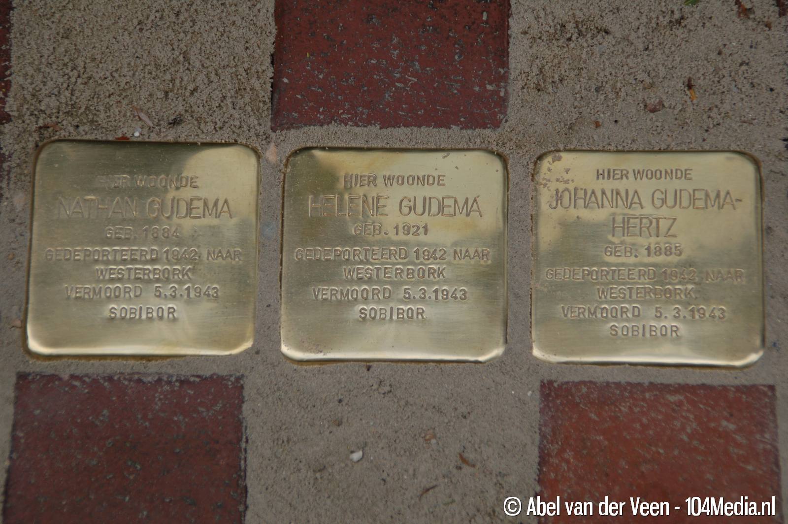 Gudema Family Memories