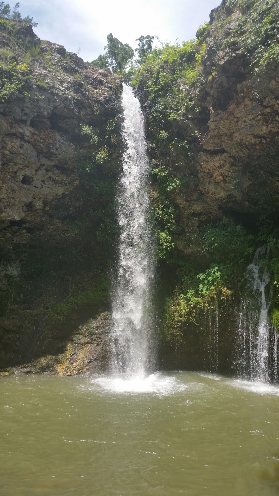 The Road Less Traveled: The Adventures of the Brady Family: Natural ...