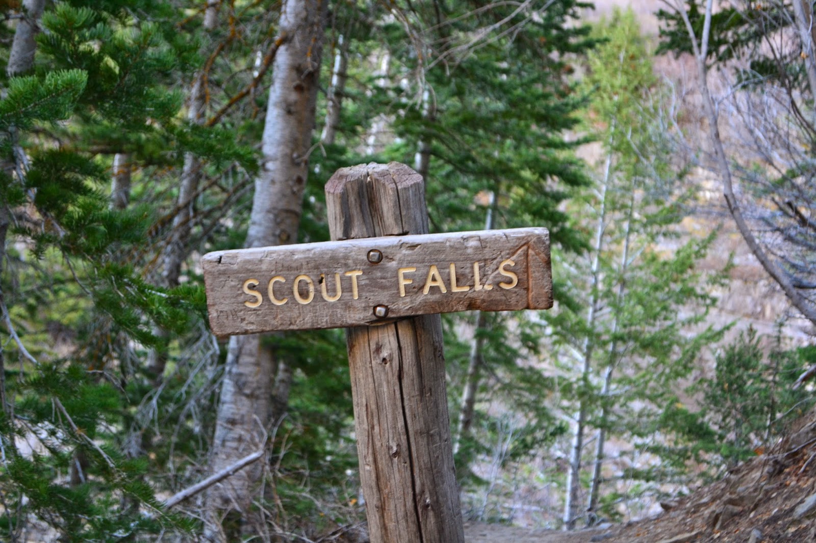 Katie Wanders : Mount Timpanogos, Utah - Hiking to the summit on the ...