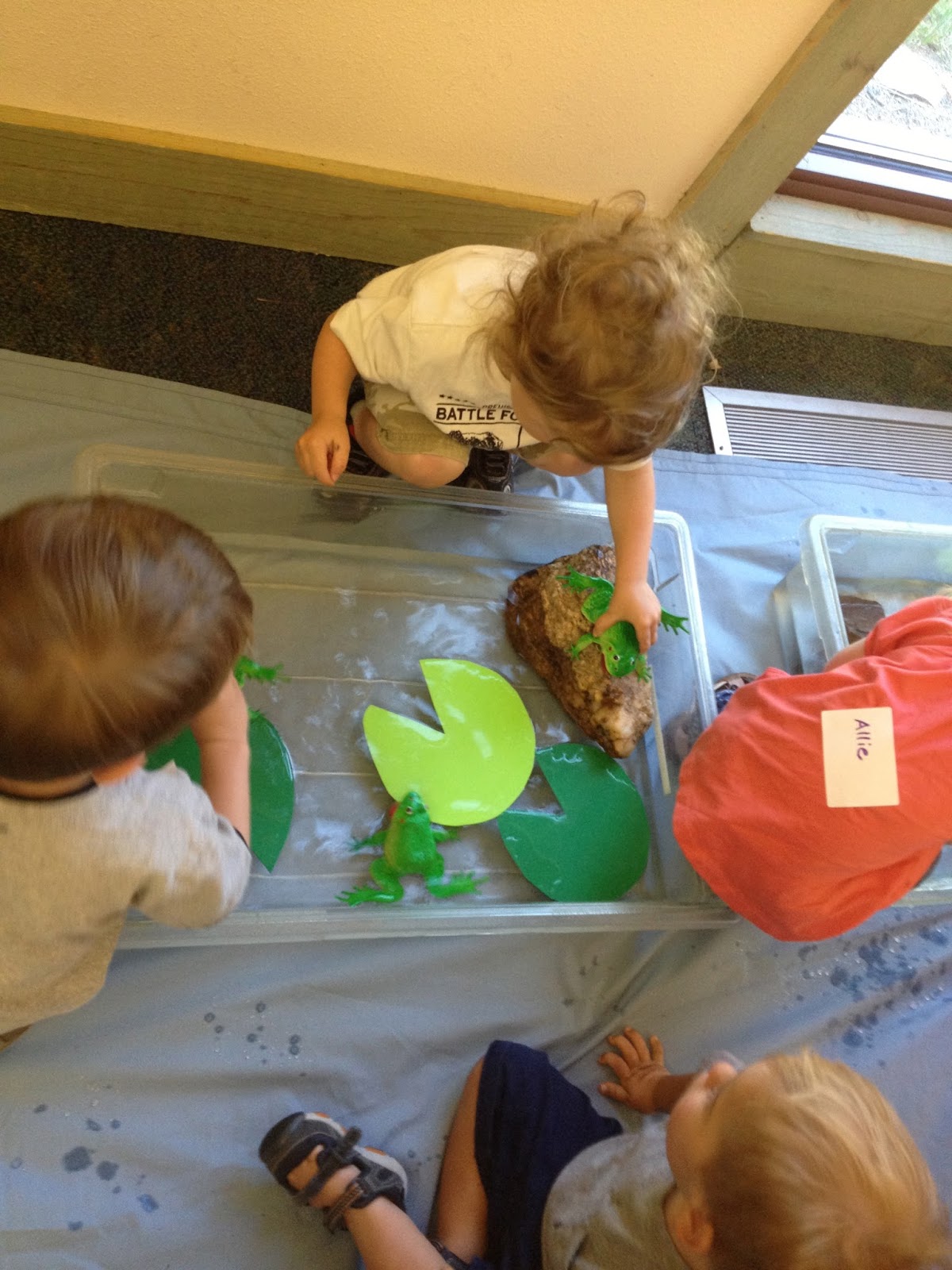 Between a dog and a hard place : Tadpoles to frogs! Hoppy activities!